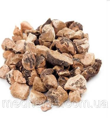Купить Горец Змеиный (Раковая Шейка) Корень 100, цена 45 грн — Prom.ua ...