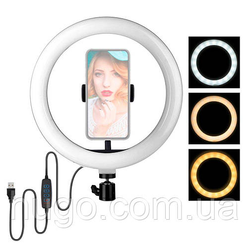 Кольцевая LED лампа с держателем 33 см, Ljj-33 / Светодиодная лампа-кольцо USB для селфи (ID ...