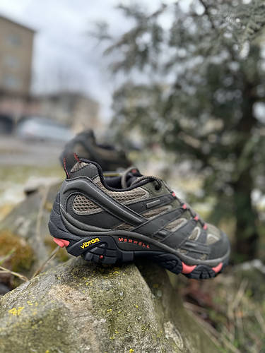 Купить Оригинальные кроссовки Merrell MOAB 2 GTX J41106, цена 3300 ...