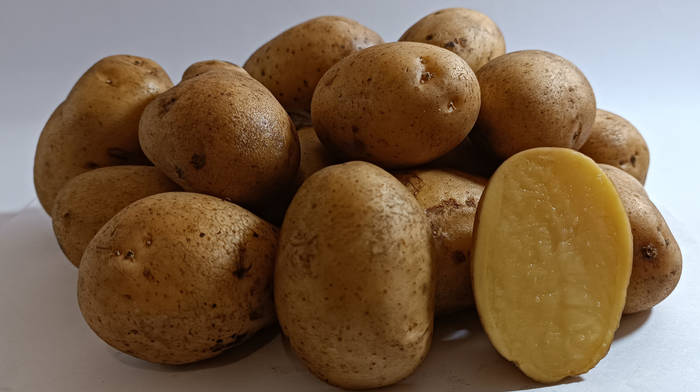 Купить Семена картошки Джелли EUROPLANT Германия 1 кг, цена 40 грн ...