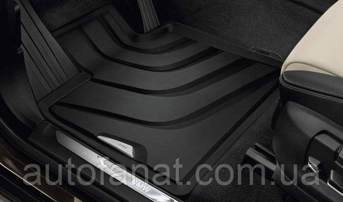 Купити Килимки BMW X5 (F15), X6 (F16) 2013-2018, передні в салон ...