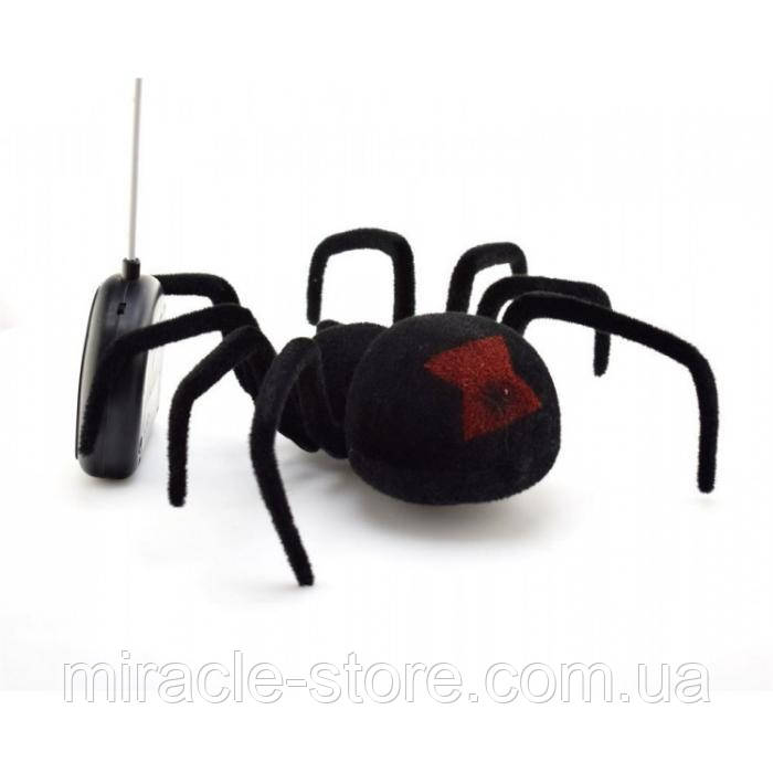Купить Паук Черная вдова на пульте управления с подсветкой глаз, цена ...