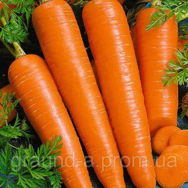 Насіння моркви Віта Лонга (Vita Longa). Упаковка 1 млн. насінин (фр. 1 ...