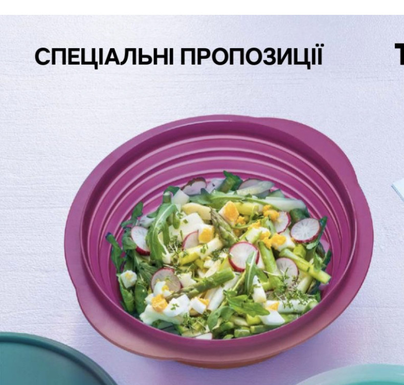 Контейнер Мінімакс (мінімакс) 2 лTupperware: продаж, ціна у Одесі ...