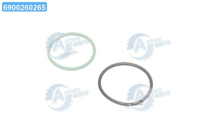 Ремкомплект насос-форсунки (у к-кті 2 кільця ущільнювачів) (вир-во ...