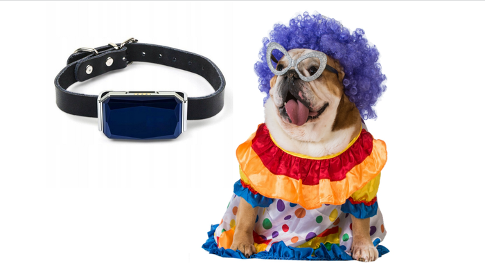 GPS-локатор для ошейника для собак и кошек Mking прямоугольный локатор ...