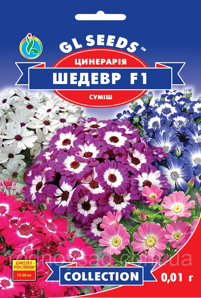 Купить Цинерария Шедевр F1 семена (0,01 г), Collection, TM GL Seeds в ...