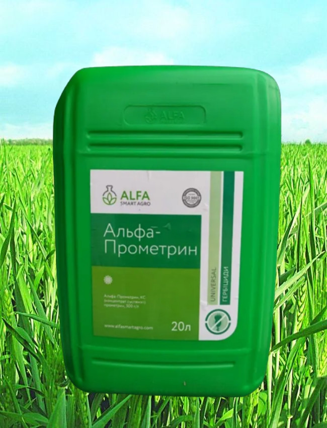 Купити Гербіцид Альфа-Прометрин 20 л, ціна 7850 ₴ - Prom.ua (ID ...
