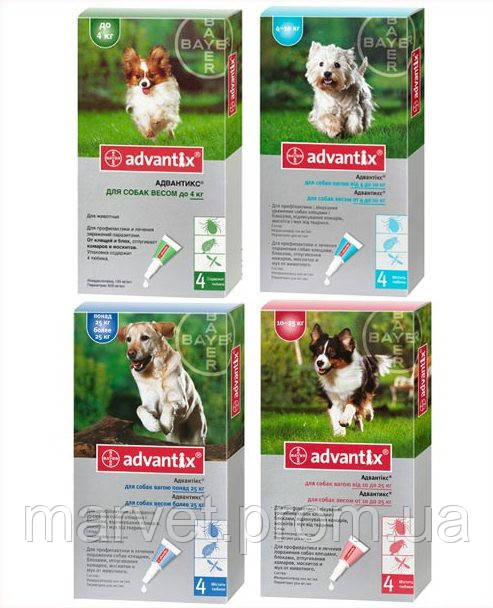 Купить Капли Адвантикс для собак от 25 до 40 кг, 4 мл (1 пипетка) Bayer ...