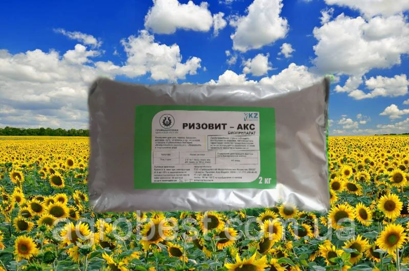 Инокулянт Ризовит - АКС 2кг: продажа, цена в Киеве. Бактериальные ...