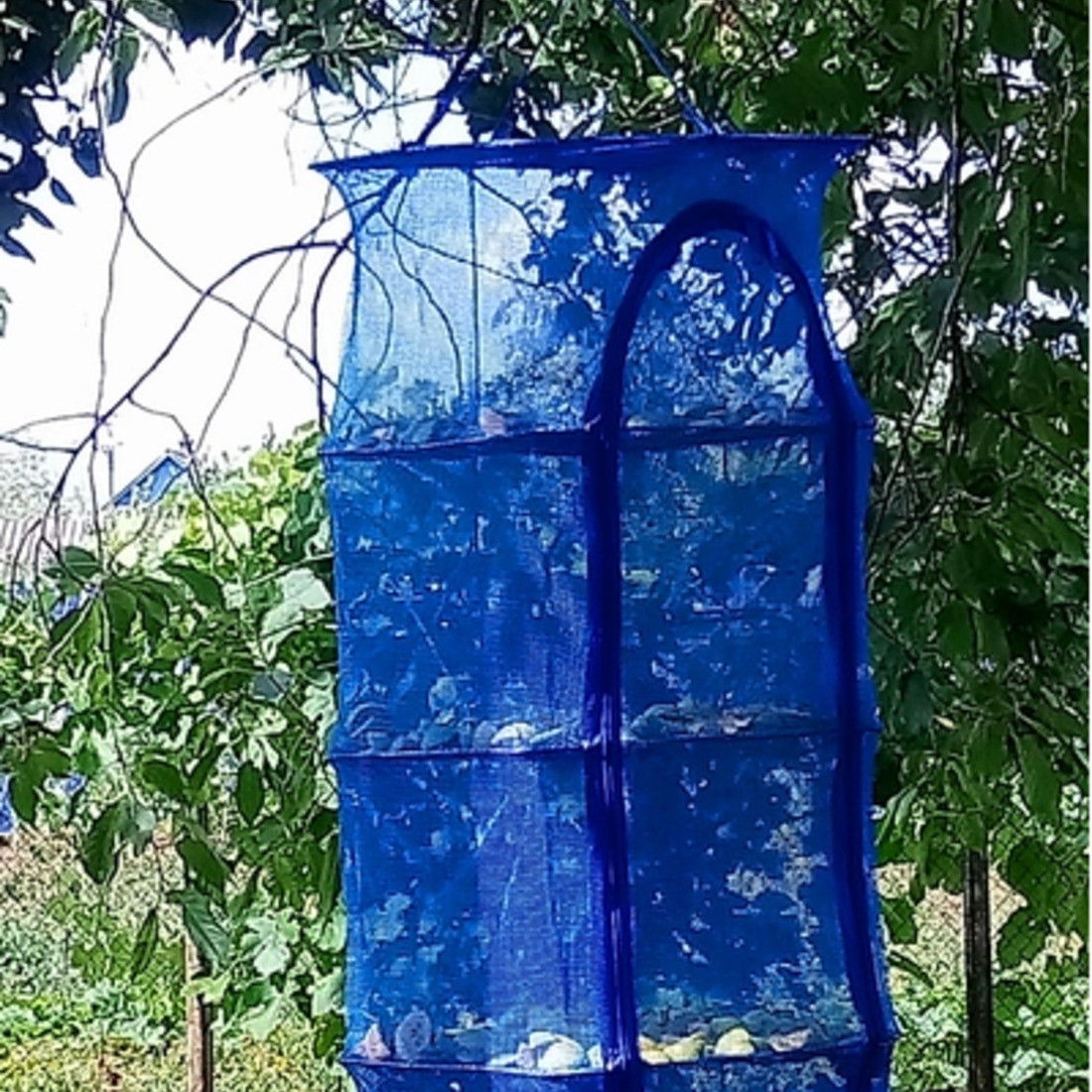 Сушилка для Рыбы Сетка для Сушки Рыбы Грибов Овощей и Фруктов Сушилка ...