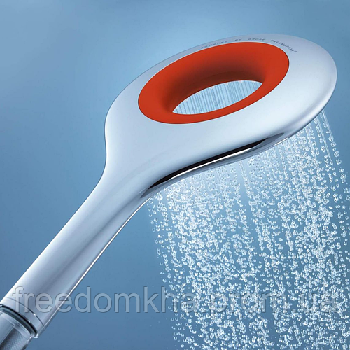 Купить Ручной душ Grohe Rainshower Icon (27443000), цена 3000 грн ...