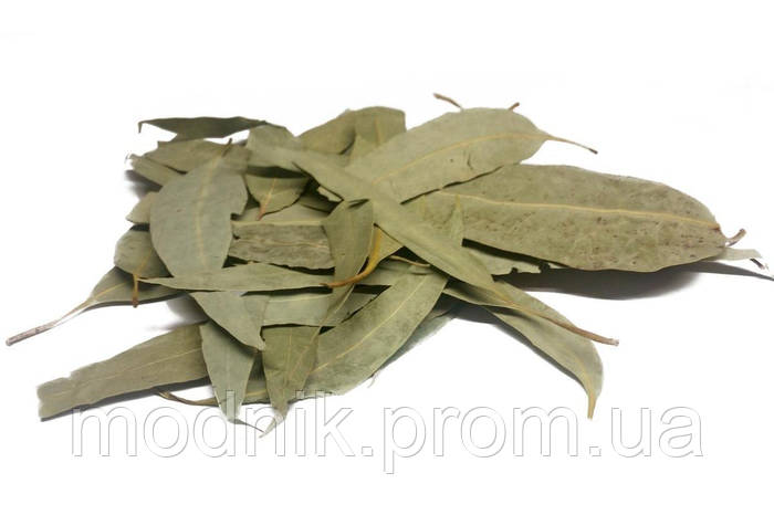 Купить Эвкалипт лист Карпаты 50 гр MD, код: 2650944, цена 39.98 грн ...