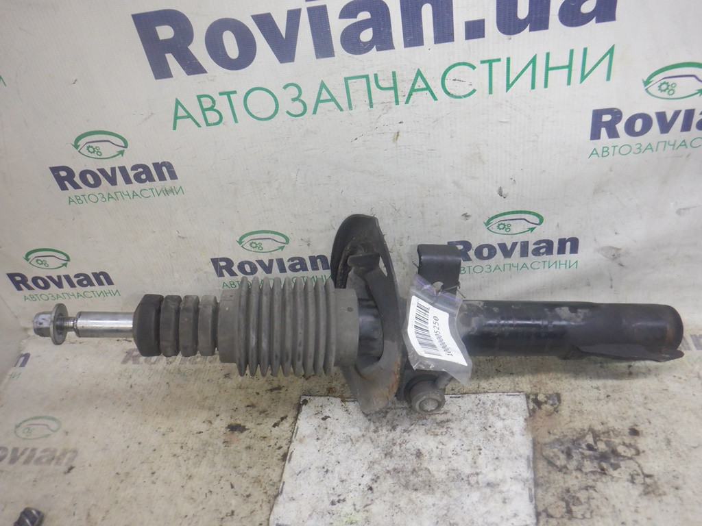 Купить Стойка передняя (амортизатор) Renault SCENIC 2 2003-2006 (Рено ...
