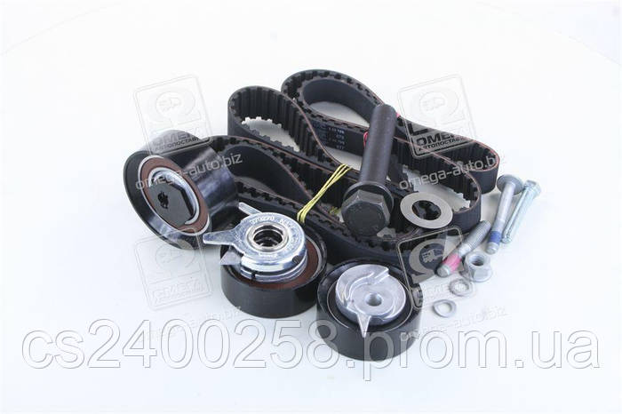 Ремкомплект грм VW Transporter IV 074198119 P (Вир-во INA) 530 0484 10 ...