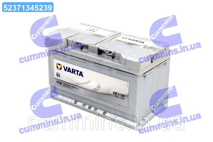 Купити Акумулятор 85Ah-12v VARTA SD (F19) (315х175х190), R, EN800 585 ...