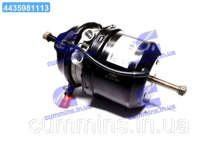 Купити Енергоакумулятор ECO-PNEUMATIC 20/24 SB M/K FU (RIDER) RD 019264 ...