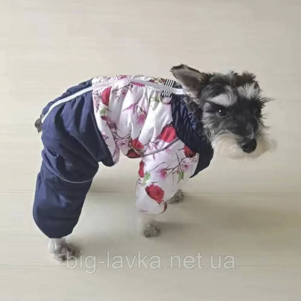 Купить Зимний комбез для собаки Девочка 12-suit 2-3.5kg, цена 948.80 ...