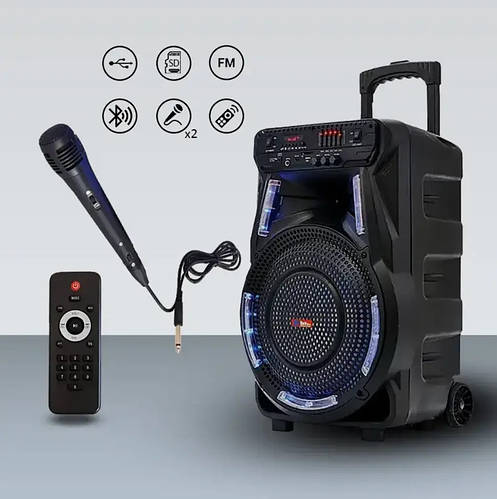 Купить Большая музыкальная колонка с микрофоном ZX-7773 Переносная ...