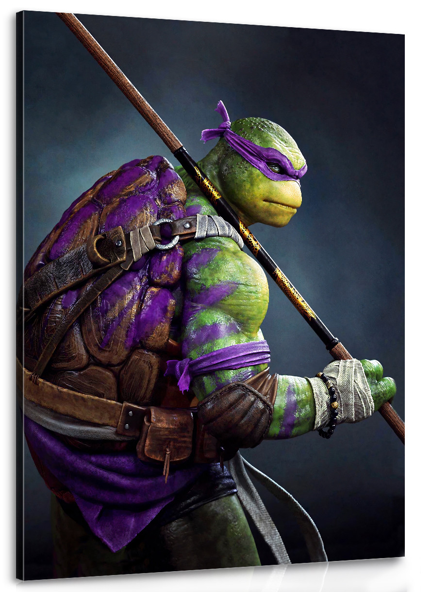 Картина Poster-land _Art_Dekors_ Черепашки Ниндзя Donatello 70x100см TM ...