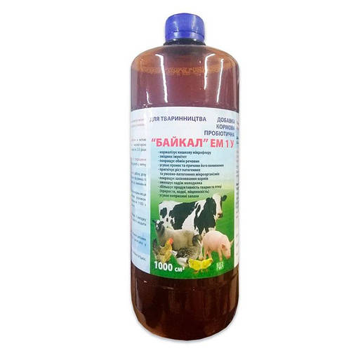 Купить Байкал Сх - Байкал 1000мл, пробиотик, цена 152.10 ₴ — Prom.ua ...