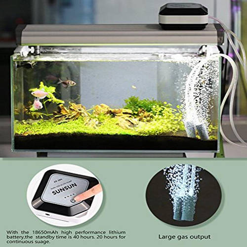 Купить Компрессор на аккумуляторе SunSun CP-201 300 л/ч для аквариума 100-300 л, цена 1550 ...