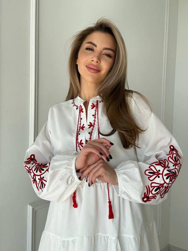 Сукня Вишиванка З Червоною Вишивкою — Купить Недорого на Bigl Ua 1857287536