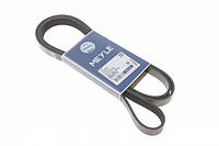 Ремень генератора VW T4 2.5/2.5TDI | купить недорого, на Prom | Украина ...