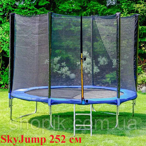 Батут дитячий із захисною сіткою та сходами SkyJump 252 см, Батути для ...