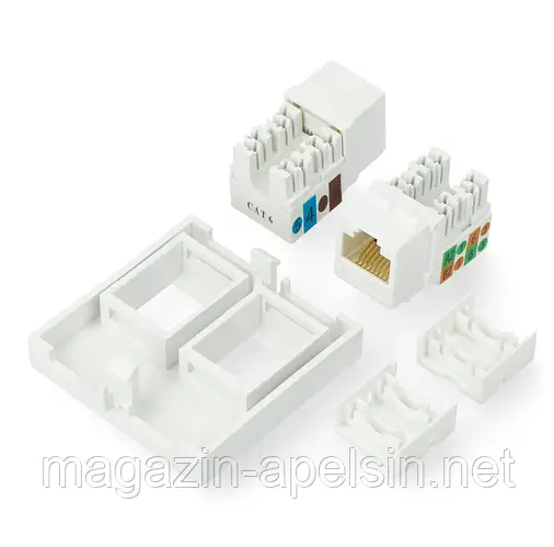 Купити Коробка для прихованого монтажу 45x45 мм 2x RJ45 + Keystone Cat ...