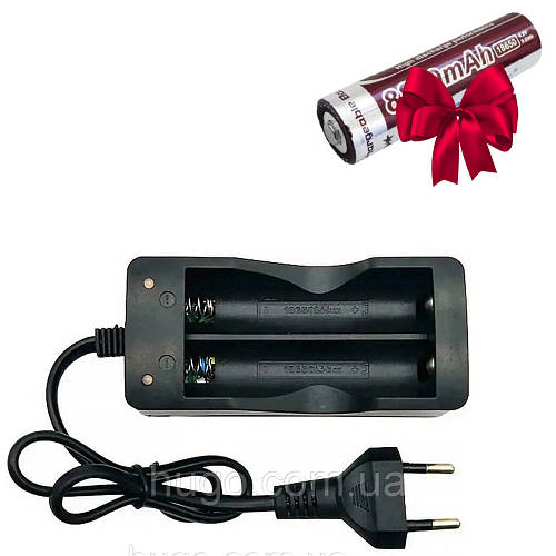 Купити Зарядка на 2 акумулятори 18650, MS-202A + Подарунок Акумулятор 18650 X-Balog 8800mAh ...