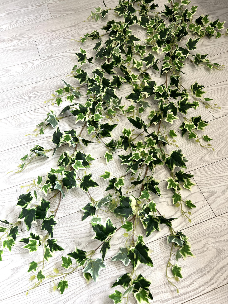 Искусственная лиана плющ Premium 170 см бело зеленый цена 232 ₴ купить на Prom Ua