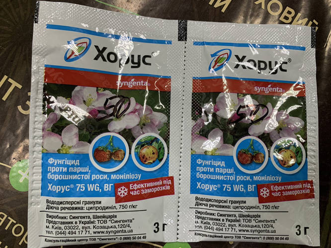 Купить Хорус, цена 50 ₴ — Prom.ua (ID#1892649619)