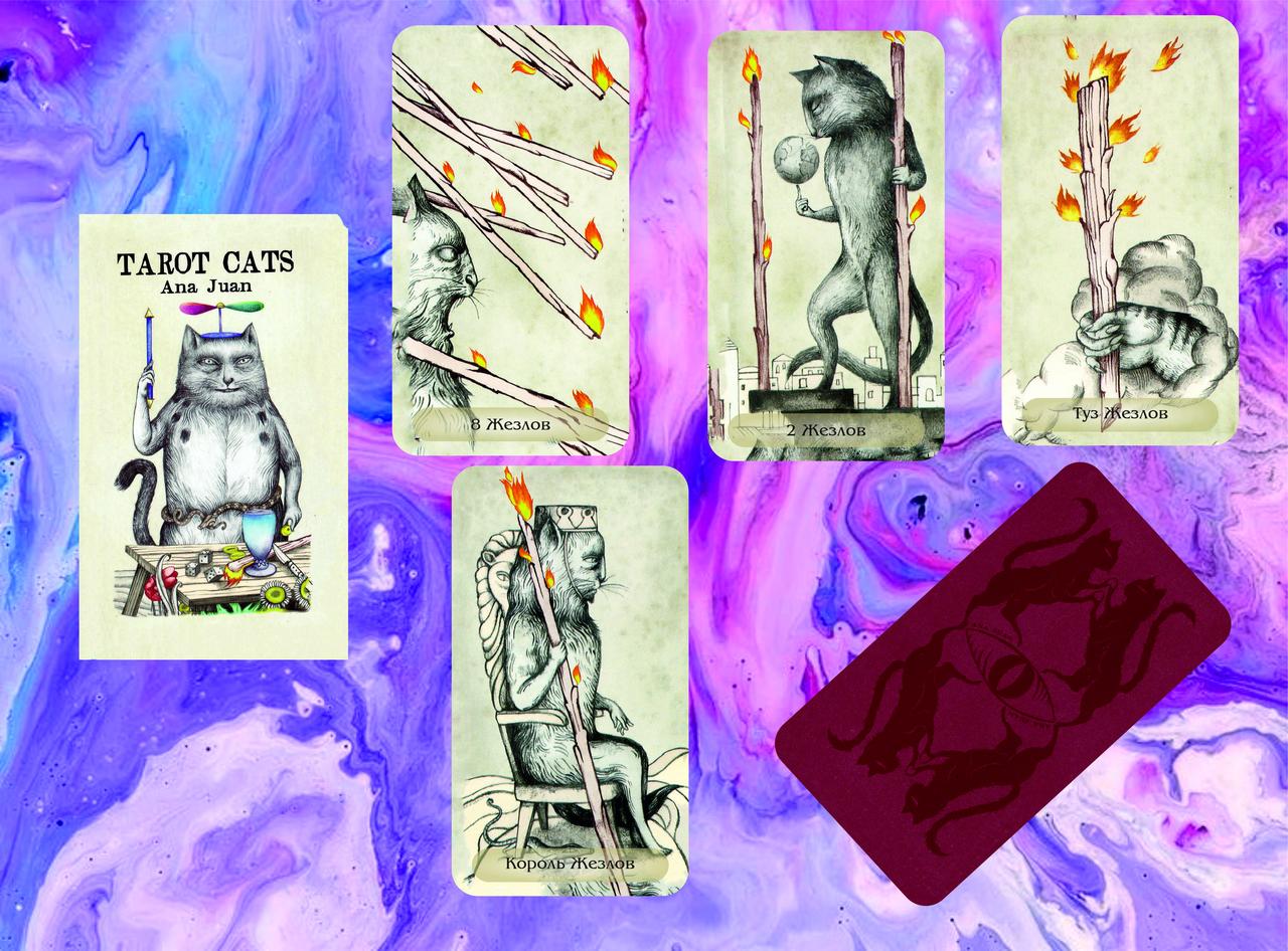 Карти Таро Котів - Tarot Cats by Ana Juan (ID#1893678018), цена: 460 ₴, купить на Prom.ua