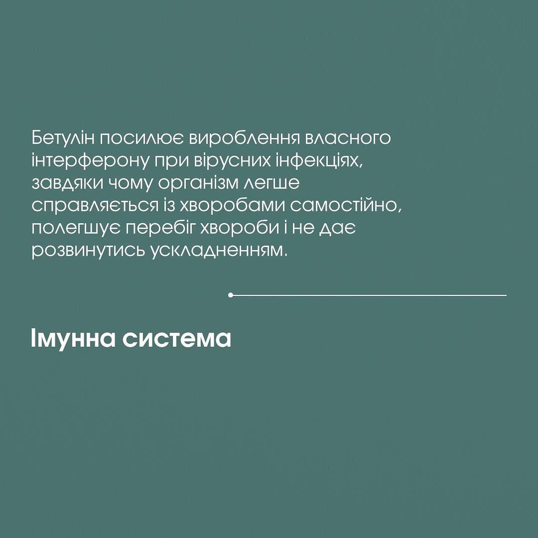 Бетулина Экстракт (Бетулиновая Кислота) Добавка Диетическая Новая Жизнь ...