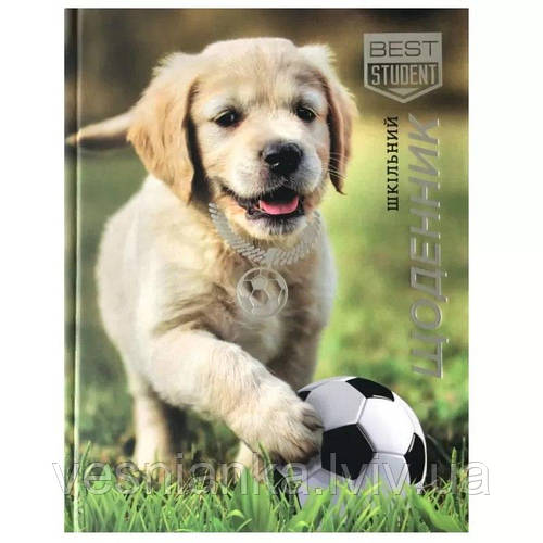 Купить Шкільний щоденник "Football Player" арт SD1720 Bourgeois, цена ...