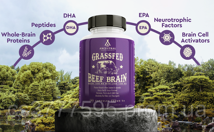 Ancestral Supplements Beef Brain/у разі органічного ураження ЦНС. 180 ...