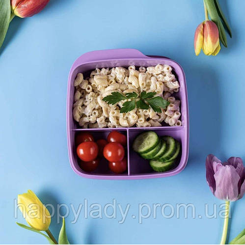 Купить Tupperware Ланч-бокс контейнер с разделителем сиреневый Школьник ...