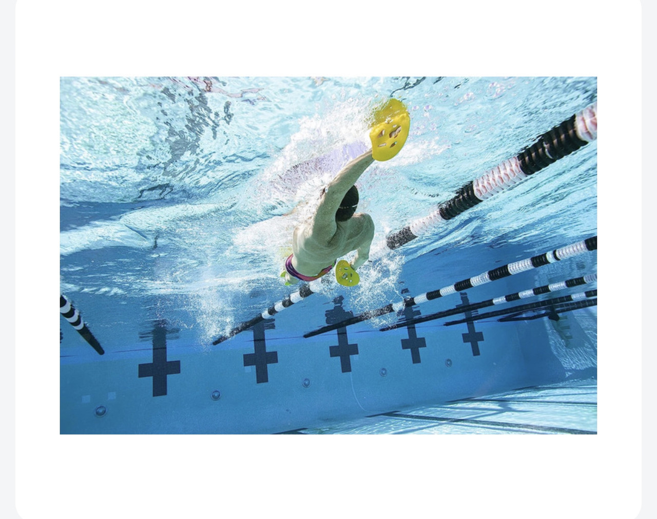 Finis Manta лопатки для плавание (ID#1792987783), цена: 1700 ₴, купить ...