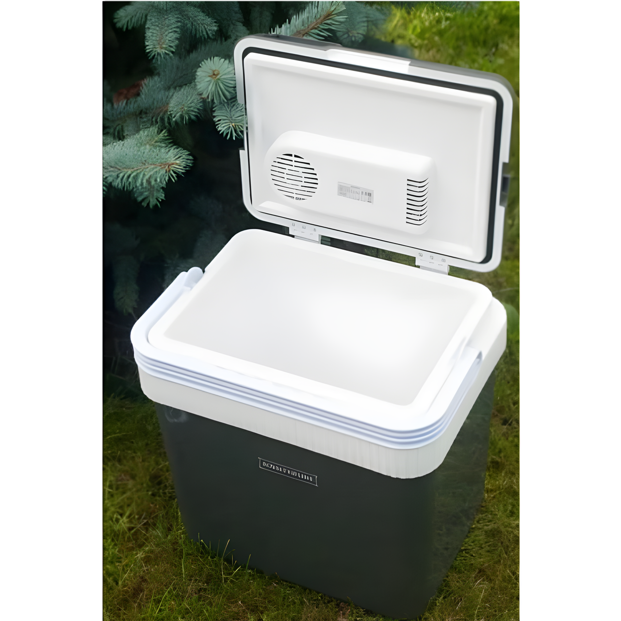 Купить Портативный холодильник 220в RoyaltyLine RL-CB24 Переносные ...