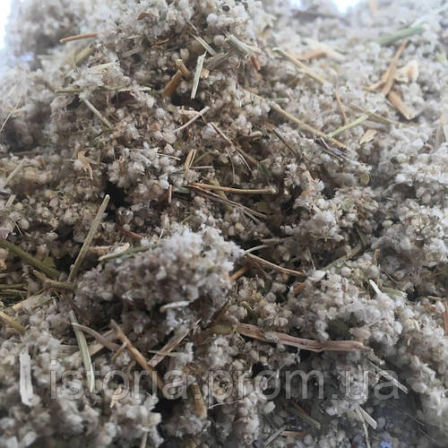 Пол-пала (ерва шерстистий) трава Карпаты 50 г, 7516872 - 569 (ID ...