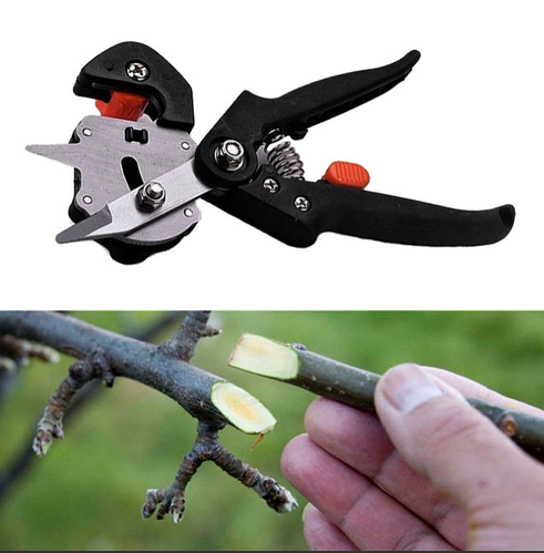 Купить Прививочный окулировочный профессиональный секатор Grafting Tool ...