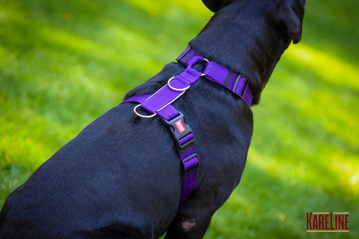 Шлея анатомическая из нейлона Keeper Active со светоотражающим кантом ...