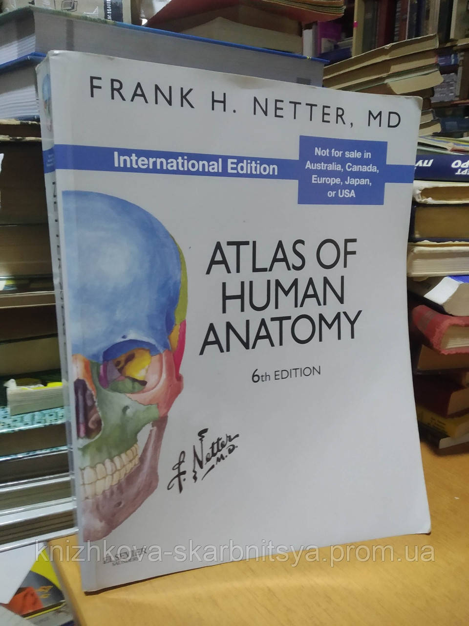 Frank H.Netter. Atlas Of Human Anatomy. / Атлас Анатомии Человека. — в ...