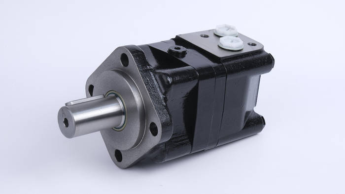 Гидромотор Oleodinamica Mozioni BM3Y-250P10AY, цена: 9887 ₴, купить на ...