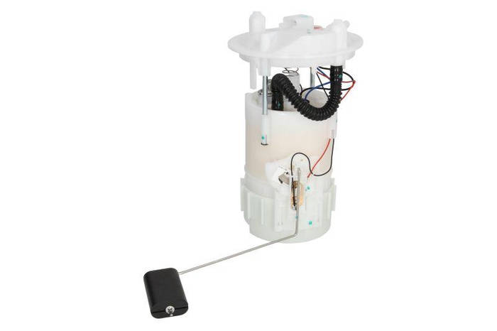 Купить Топливный насос Delphi FG246712B1 Renault Grand Scenic, Scenic ...