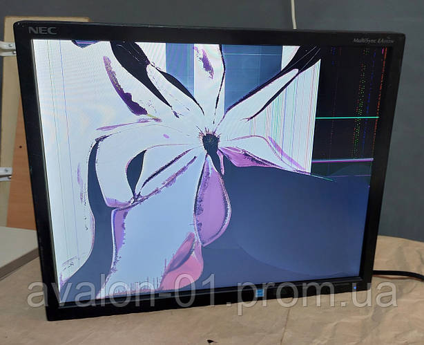 Монитор 19" NEC MultiSync EA192M-BK (ID#1946841718), цена: 300 ...