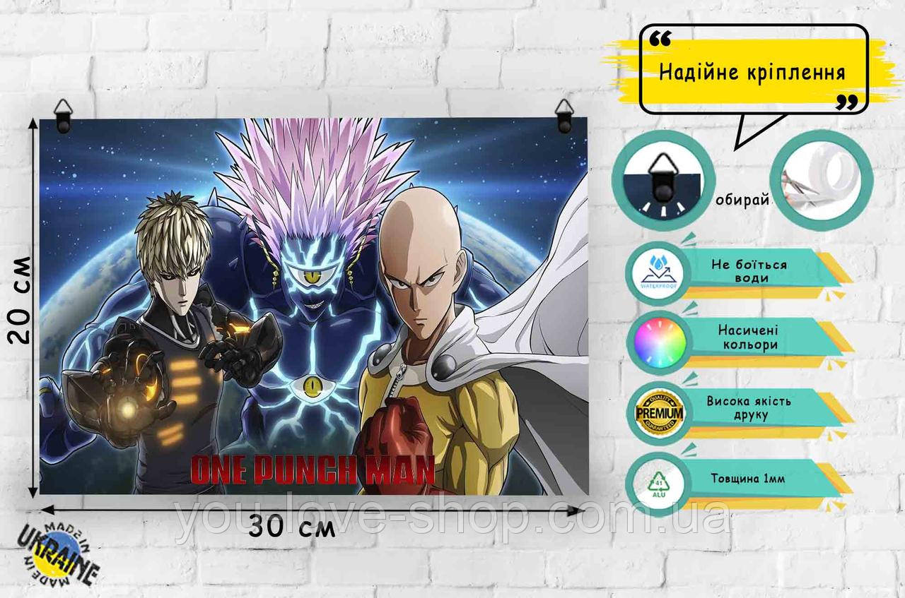 Металевий плакат Ванпанчмен "Генос та Сайтама" | One Punch Man (ID ...