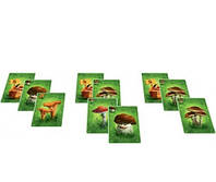 Настольная игра bombat game грибок | Сравнить цены и купить на Prom.ua