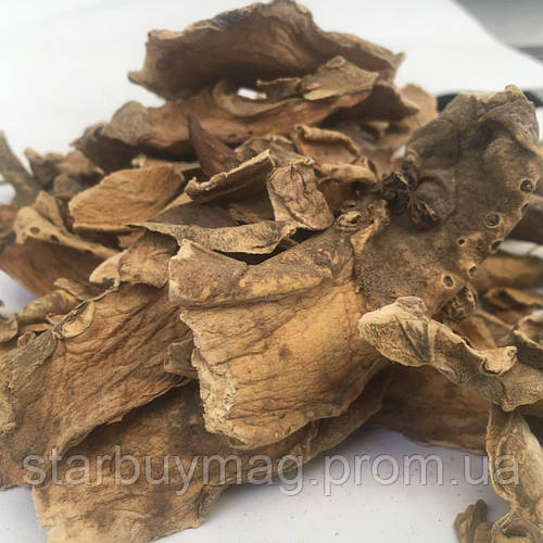 Кубышка желтая корень Карпаты 50 г SB, код: 7514377 (ID#1957551323 ...